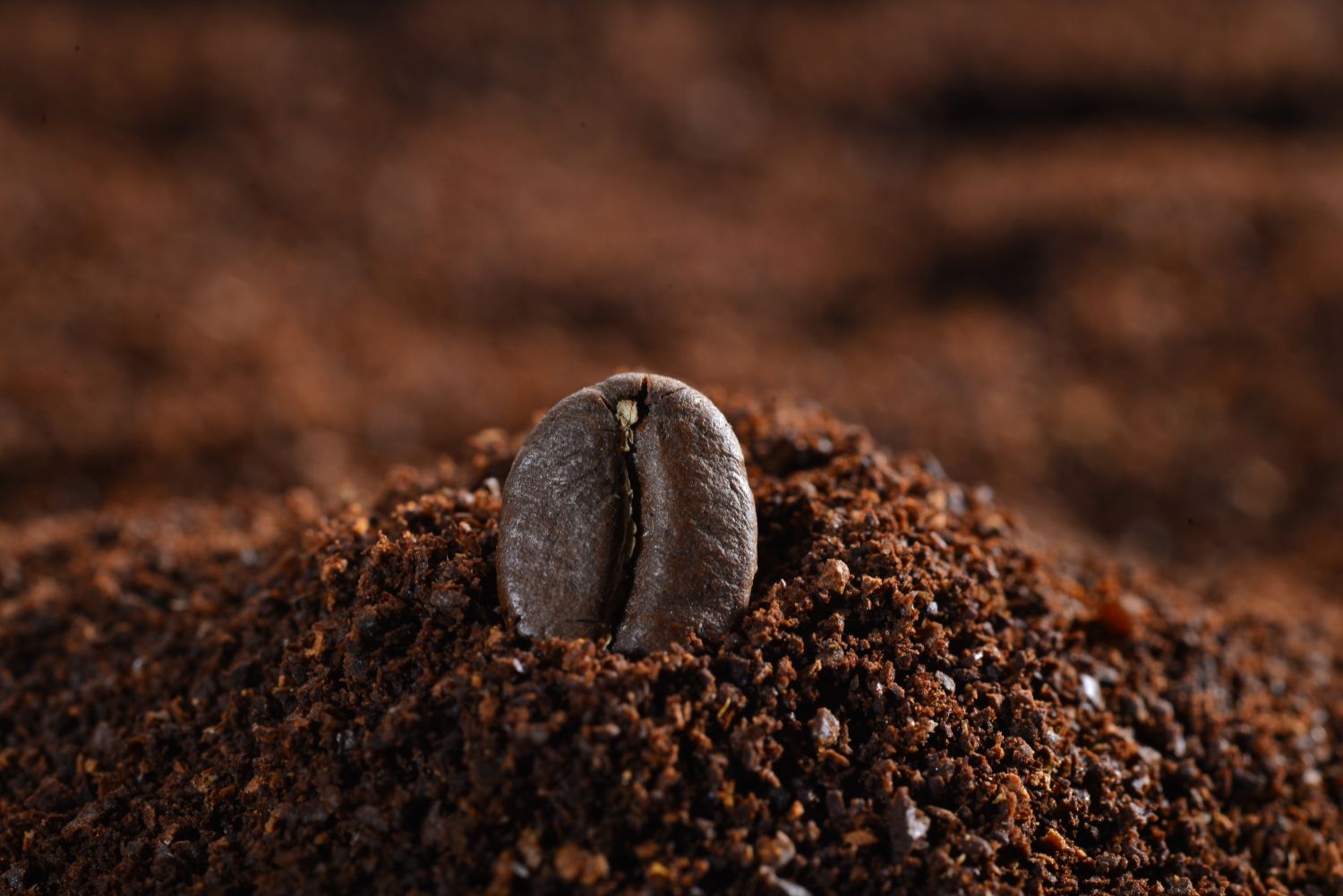 7 Best Sweet Coffee Grounds to Buy in 2024