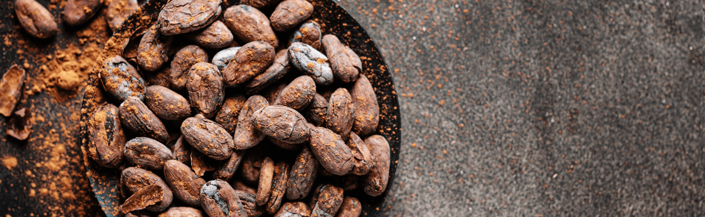 Cacao and its Journey from Beans to Bars