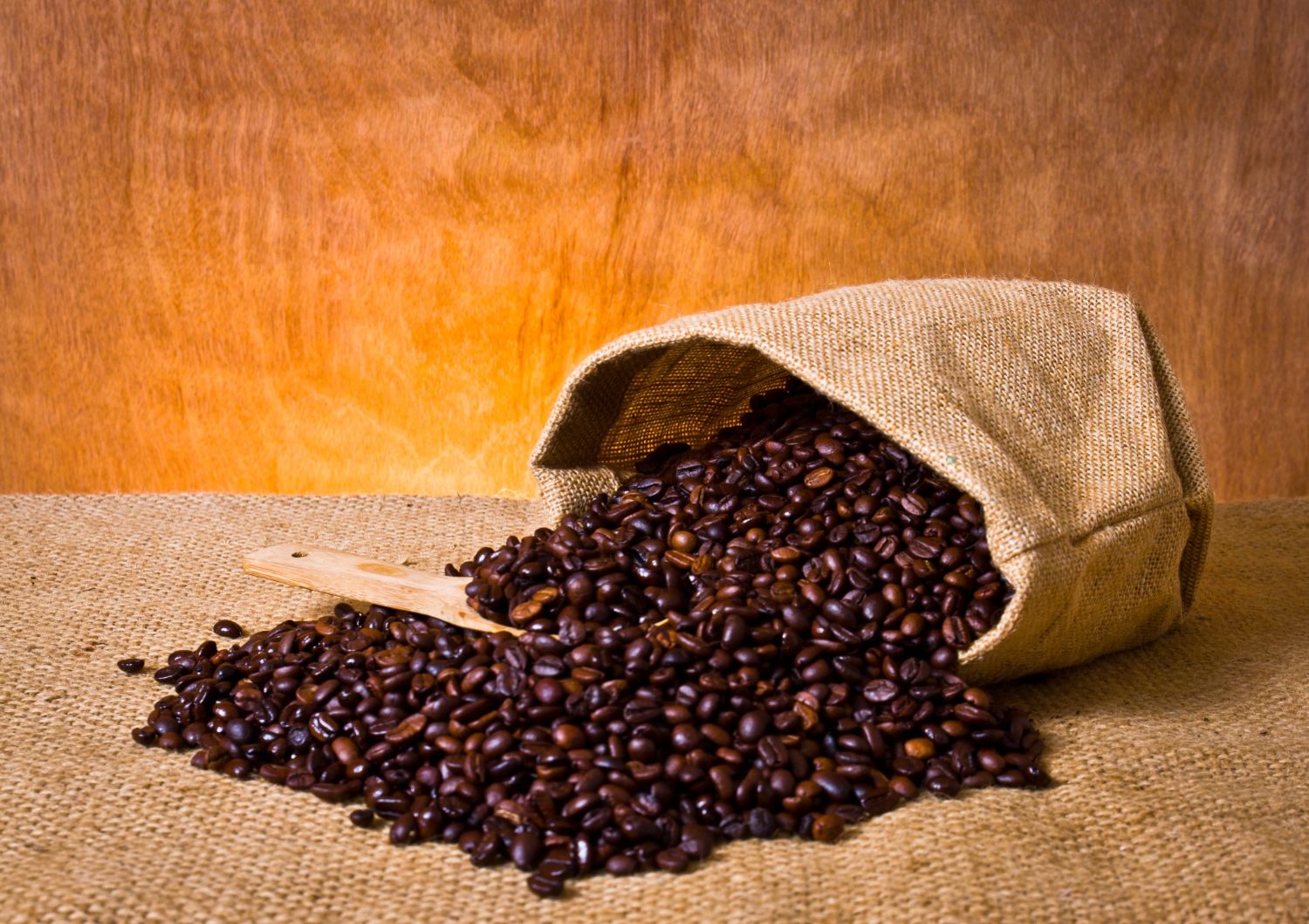 7 Best Sumatra Coffee Brands to Consider in 2024